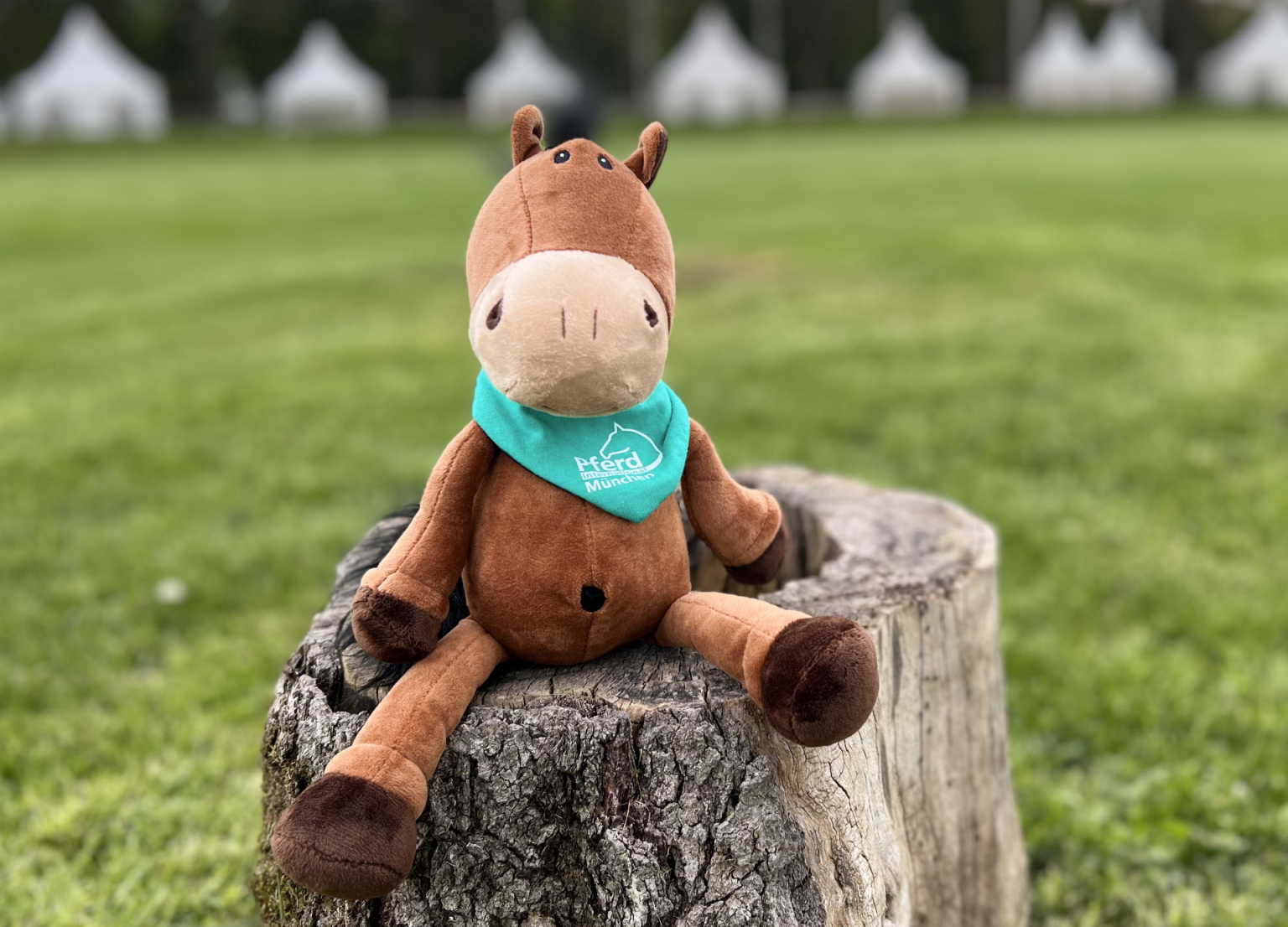 Pferd International München vom 18.-21. Mai 2023 | Tickets & Infos