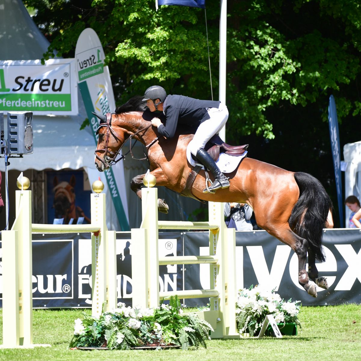 Impressionen - Pferd International München 2025