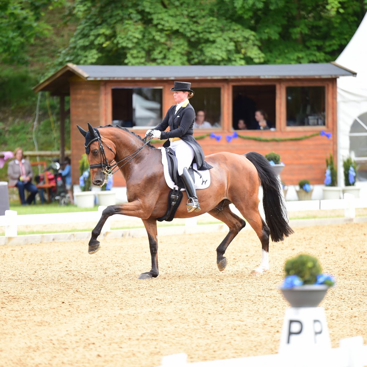 Impressionen - Pferd International München 2026